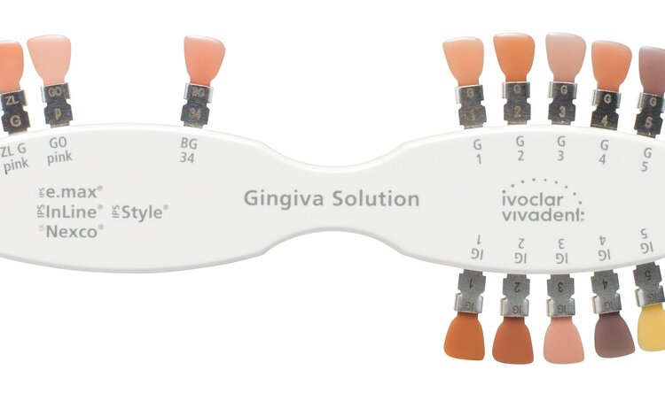 IPS e.max Ceram Gingiva by Ivoclar : Ivoclar